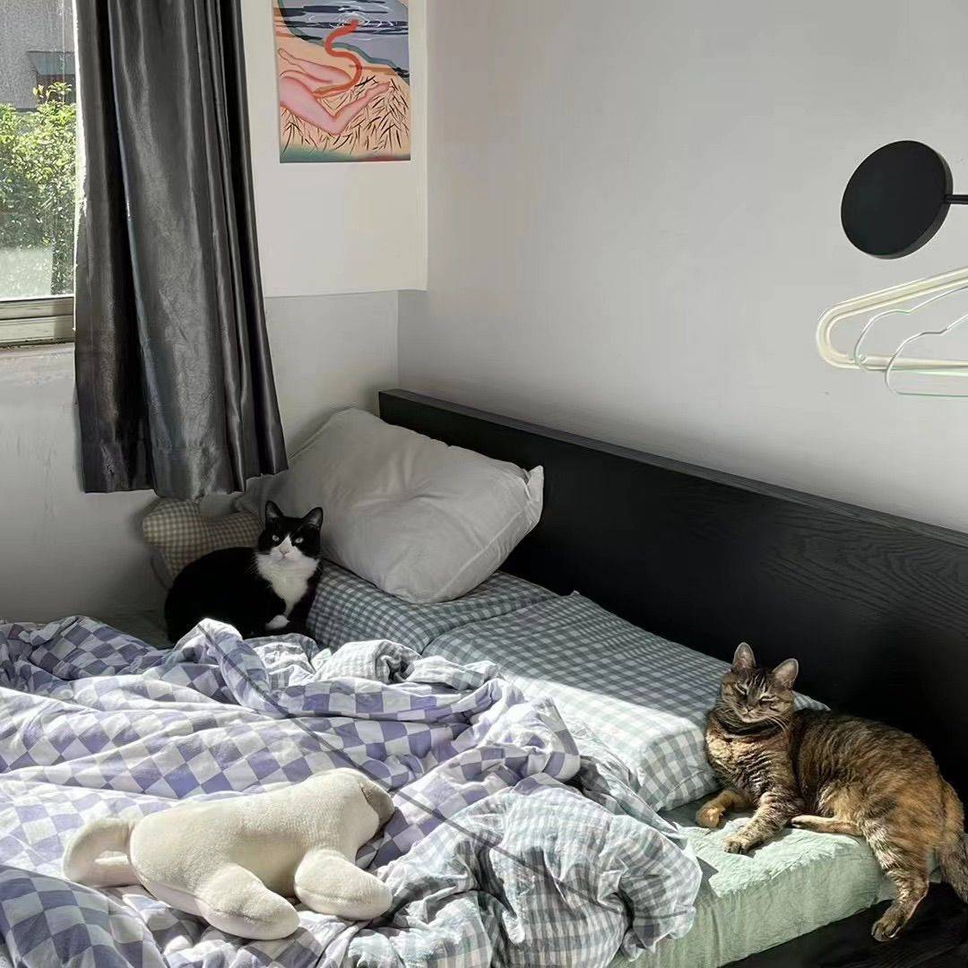 Shanghai-Huangpu-Cozy Home-Clean&Comfy-No Gender Limit